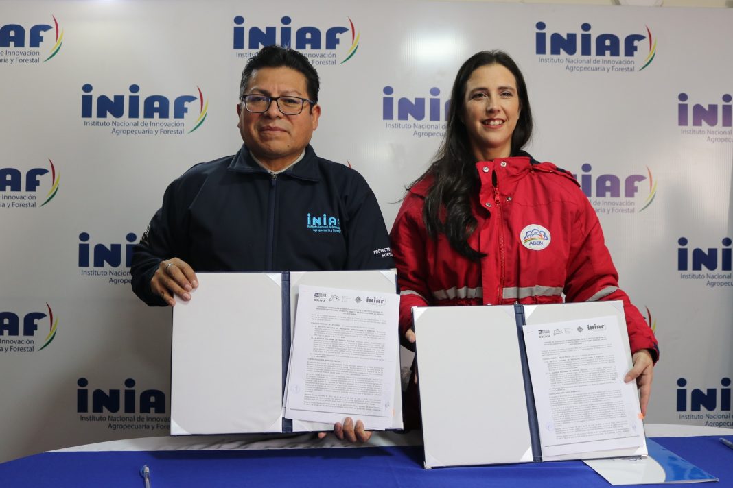 INIAF y El Ceibo acuerdan fortalecer la producción de cacao en Bolivia | MediaMonitor - Central ...
